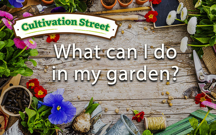 What to do in your garden... - Cultivation Street