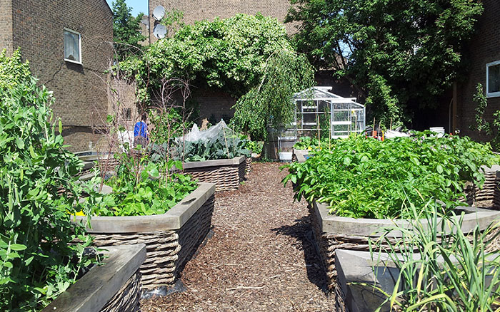 Cultivation School Winners 2017 - Cultivation Street