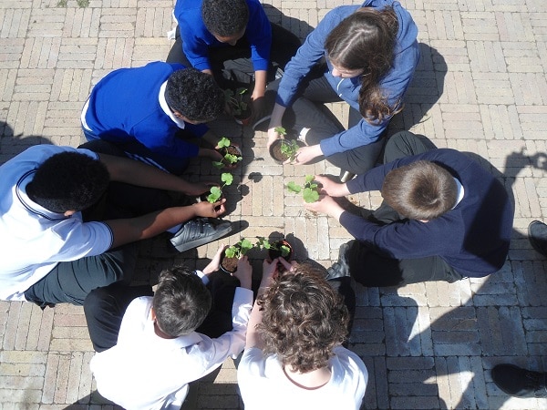 Springhallow School - Cultivation Street