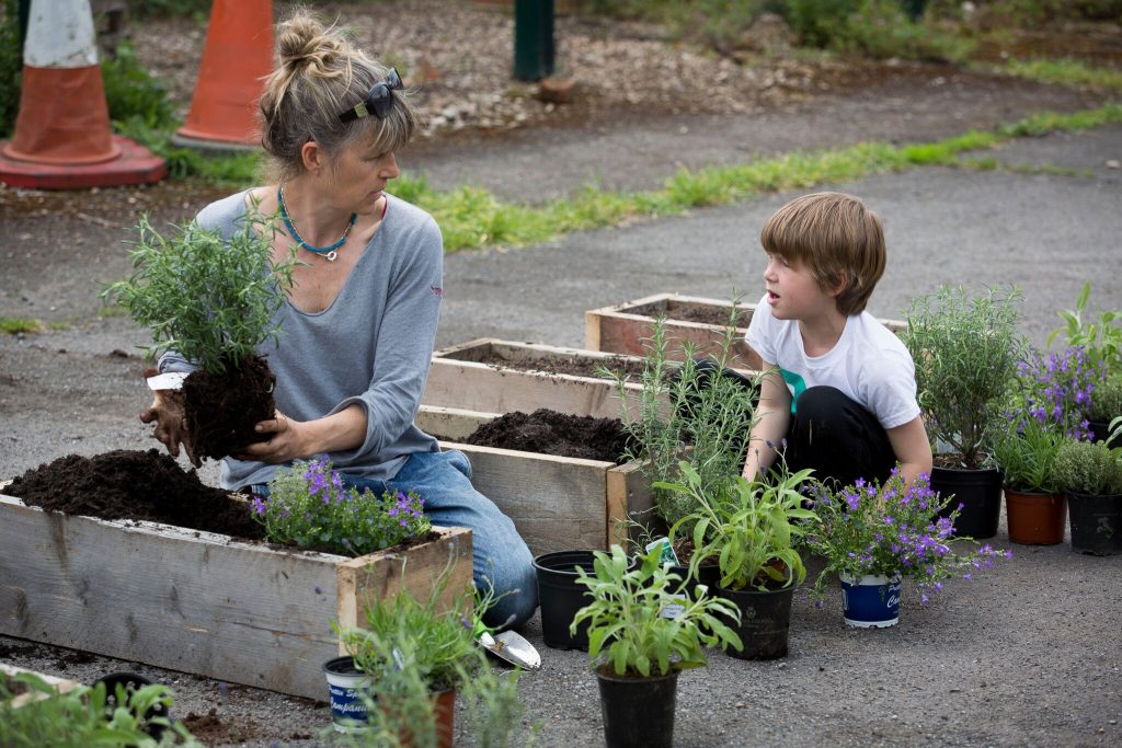 Floral colour wheel using succession planting! - Cultivation Street