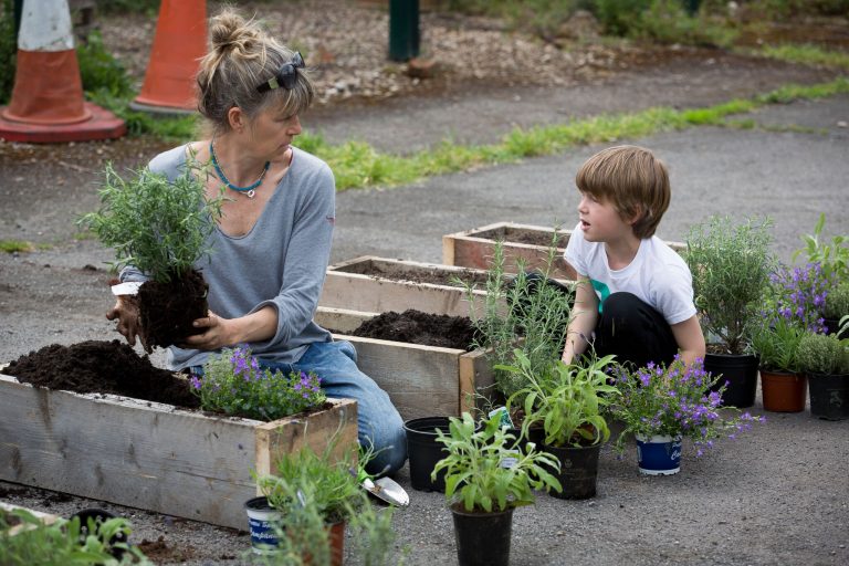 Floral colour wheel using succession planting! - Cultivation Street