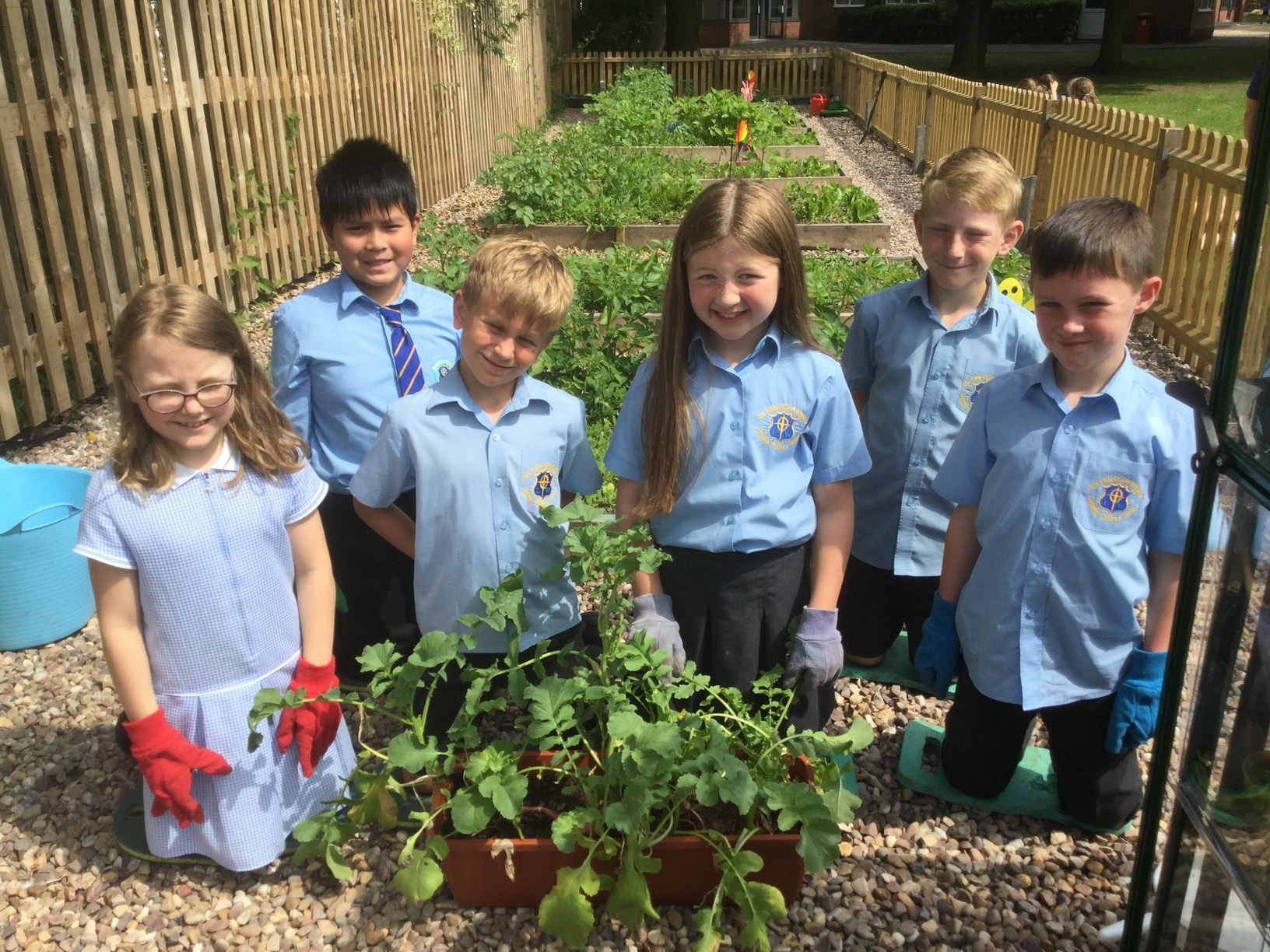 Our Lady of the Wayside Primary School - Cultivation Street Our Lady of the Wayside Primary School - Cultivation Street