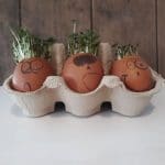 Grow Your Own Cress Heads | Activity - Cultivation Street