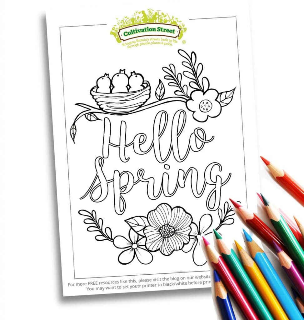 Hello Spring Colouring | Activity Sheet - Cultivation Street