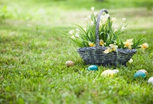 Tips for April - Cultivation Street