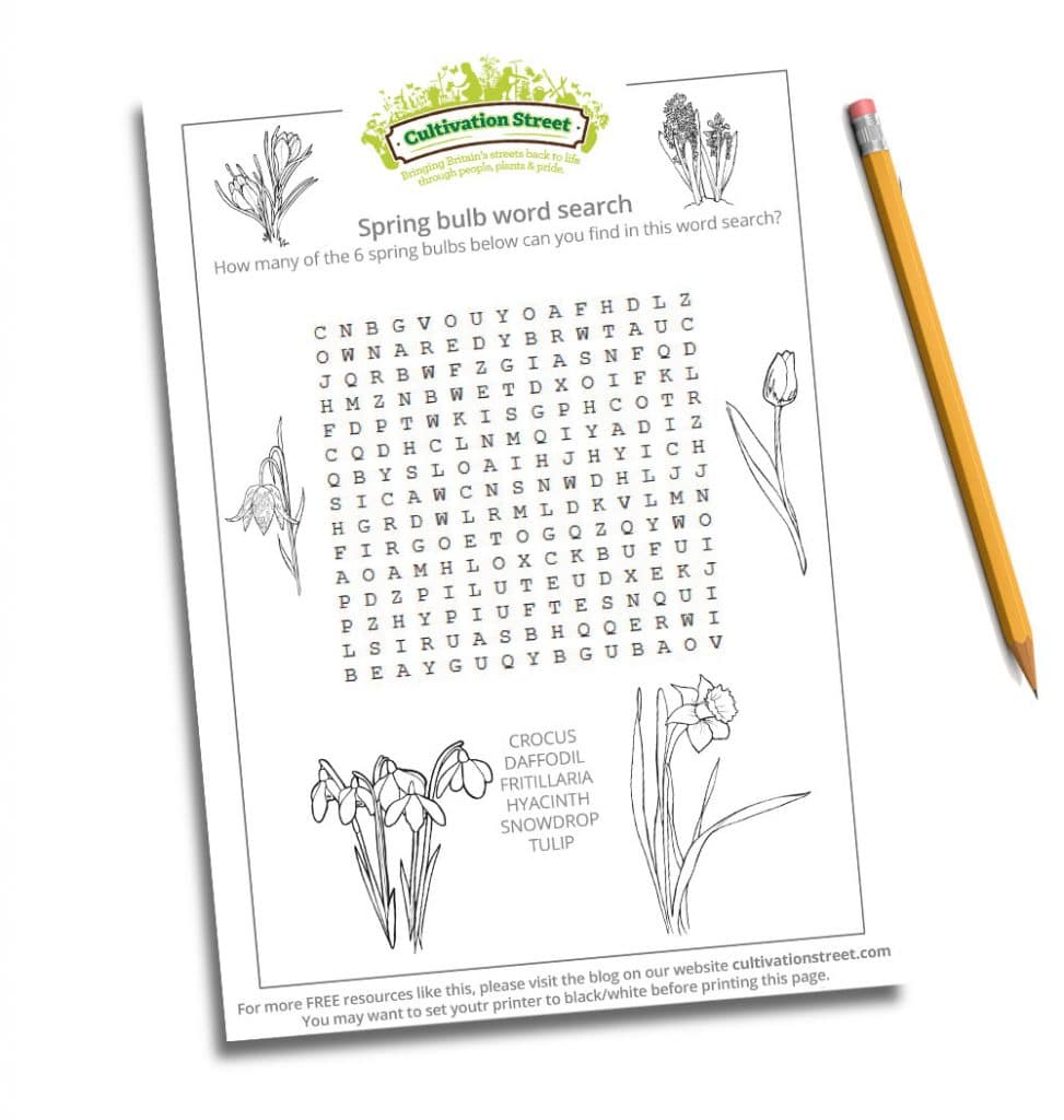 Spring Bulbs Word Search | Activity Sheet - Cultivation Street