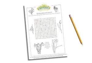 Spring Bulbs Word Search | Activity Sheet - Cultivation Street