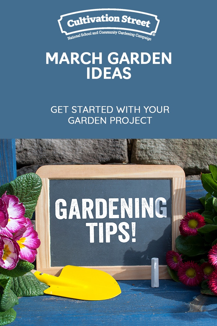 Tips for March - Cultivation Street