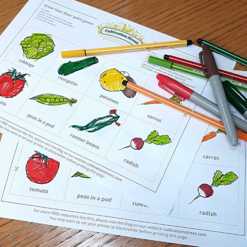 Vegetable pairs game | Activity - Cultivation Street