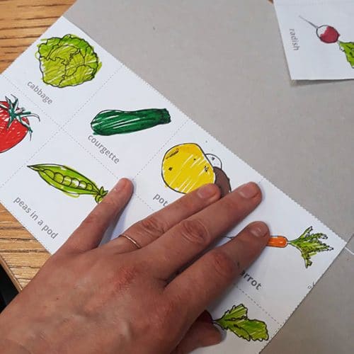 Vegetable pairs game | Activity - Cultivation Street