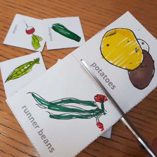 Vegetable pairs game | Activity - Cultivation Street