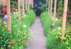 Pergola Close | Their Garden Story - Cultivation Street