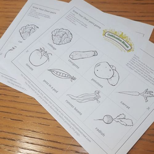Vegetable pairs game | Activity - Cultivation Street