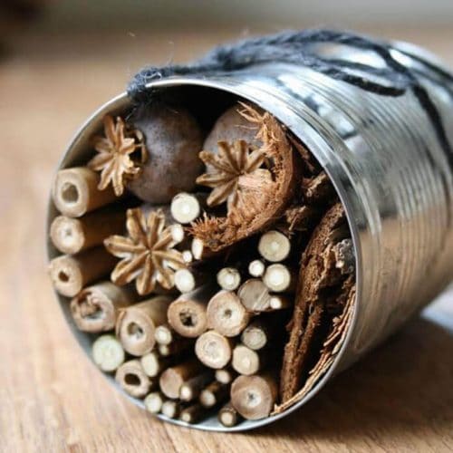 Build your own bug hotel - Cultivation Street