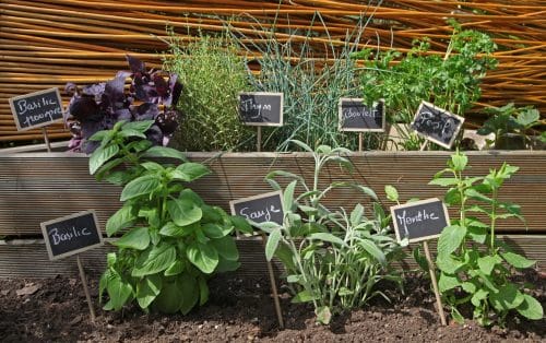 How to make Plant Labels - Cultivation Street