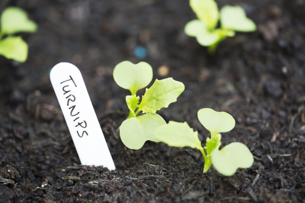 How to make Plant Labels - Cultivation Street