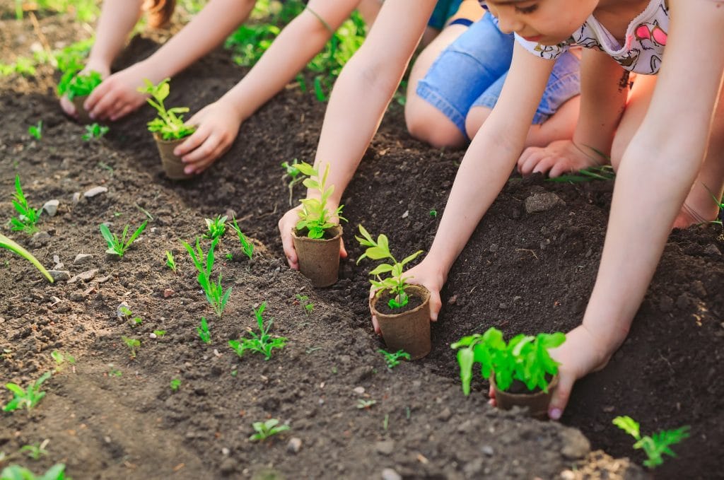 How to get kids into gardening - Cultivation Street