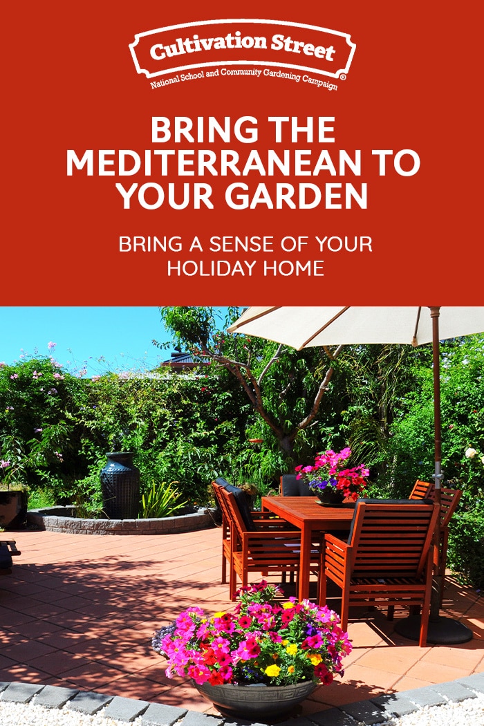 Bring the Mediterranean to your Garden - Cultivation Street