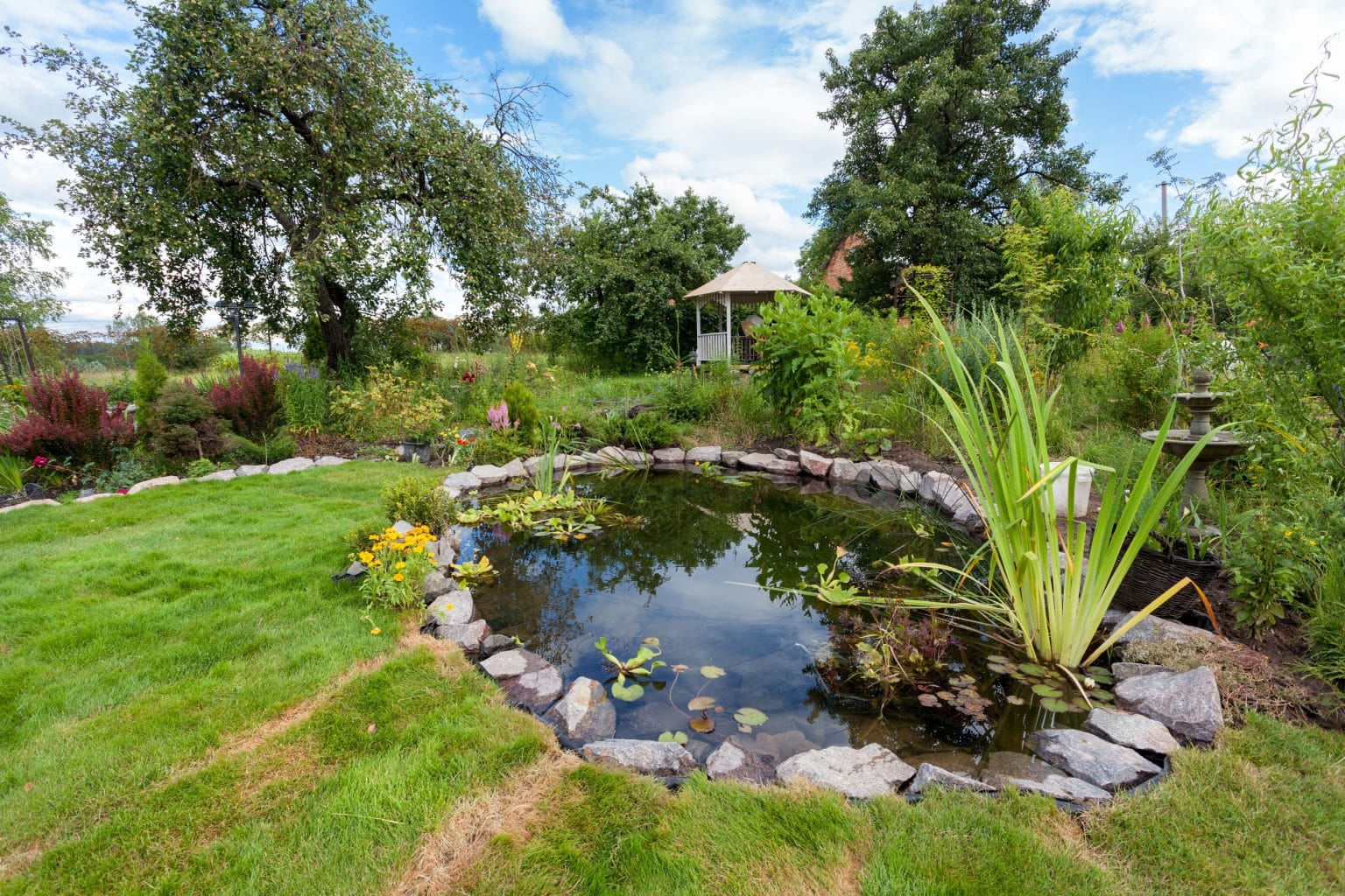 Starting your Wildlife Pond - Cultivation Street