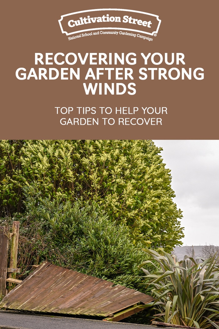 Wind: Recovering your garden after Strong Winds - Cultivation Street