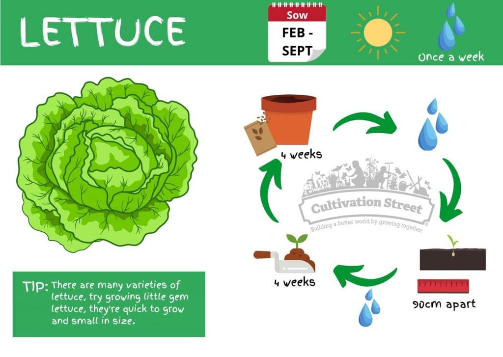 FREE Resources - Cultivation Street