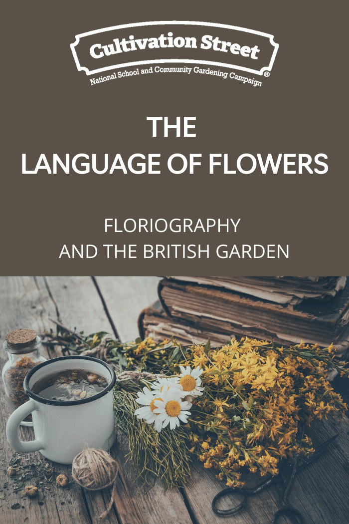 The Language of Flowers - Cultivation Street