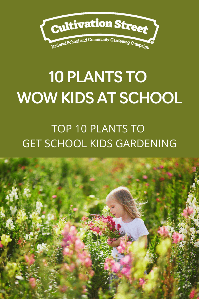10 Plants that will Wow Kids at School - Cultivation Street