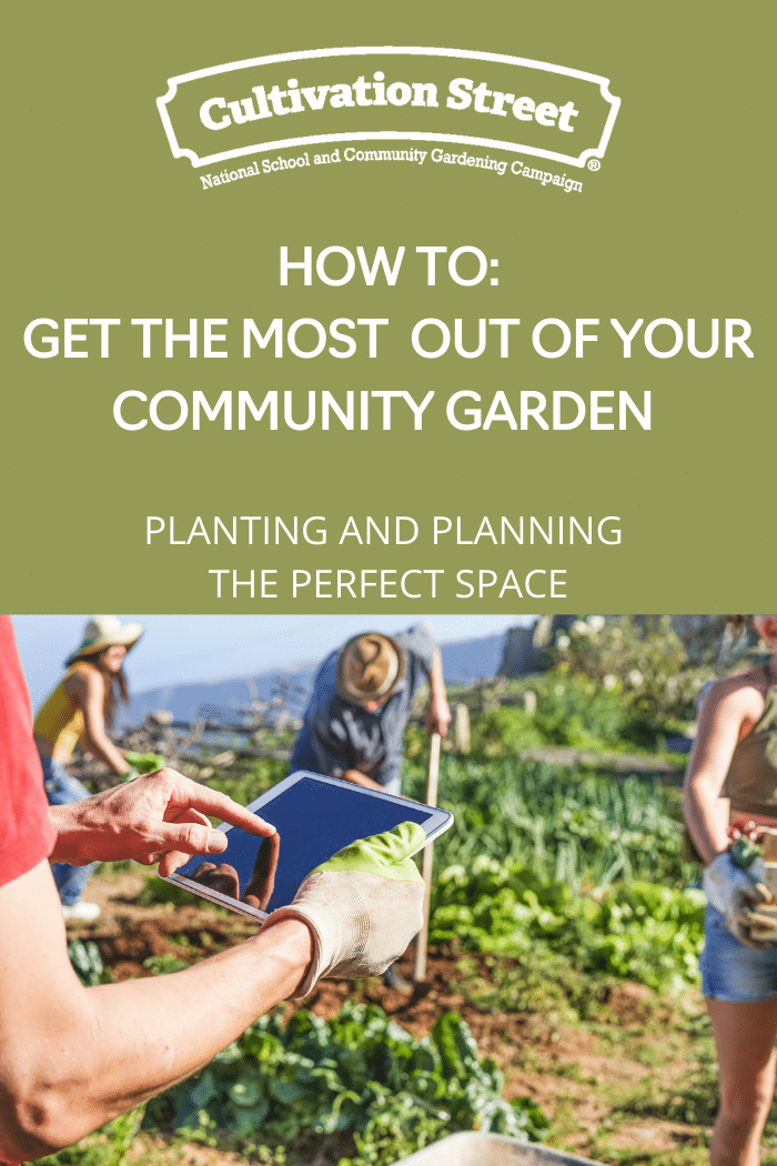 How to Get the Most from Your Community Garden - Cultivation Street