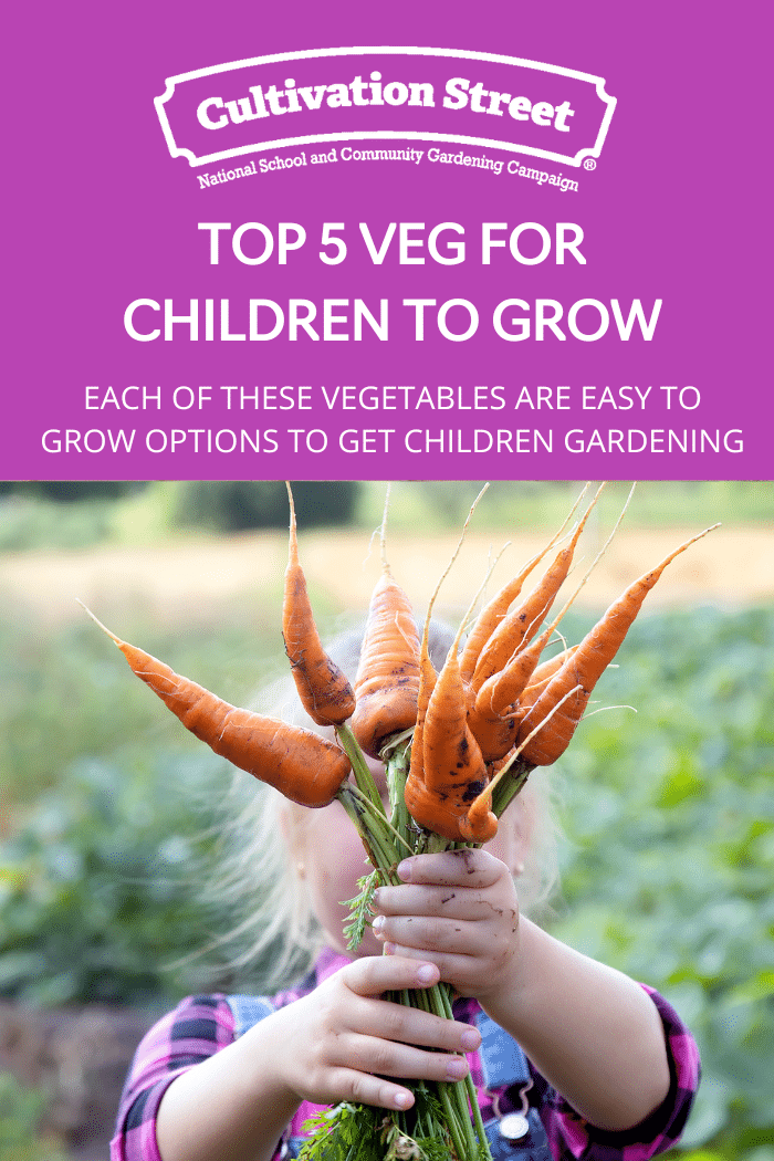 Top 5 vegetables for children to grow - Cultivation Street