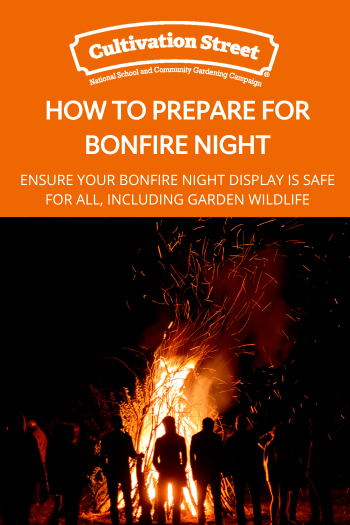 How to prepare for bonfire night - Cultivation Street